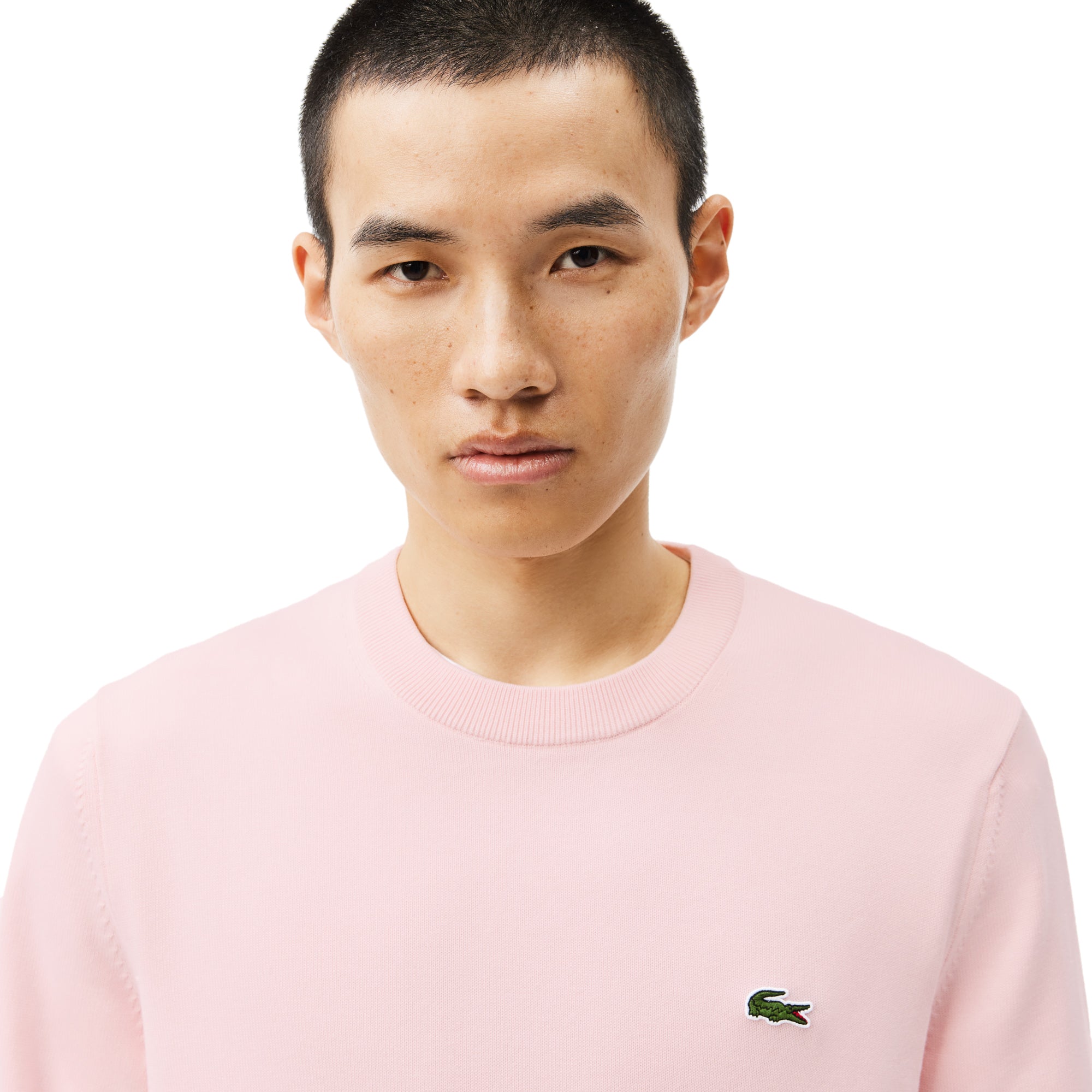 Lacoste Organic Cotton Crew Sweater - Flamingo T03 - AH1985-T03 - Function18 | Restrictedgs